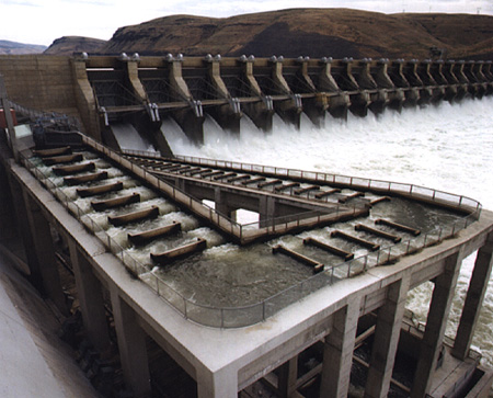 The Dammed: Getting Fish Back into American Rivers by Chipping Away at ...