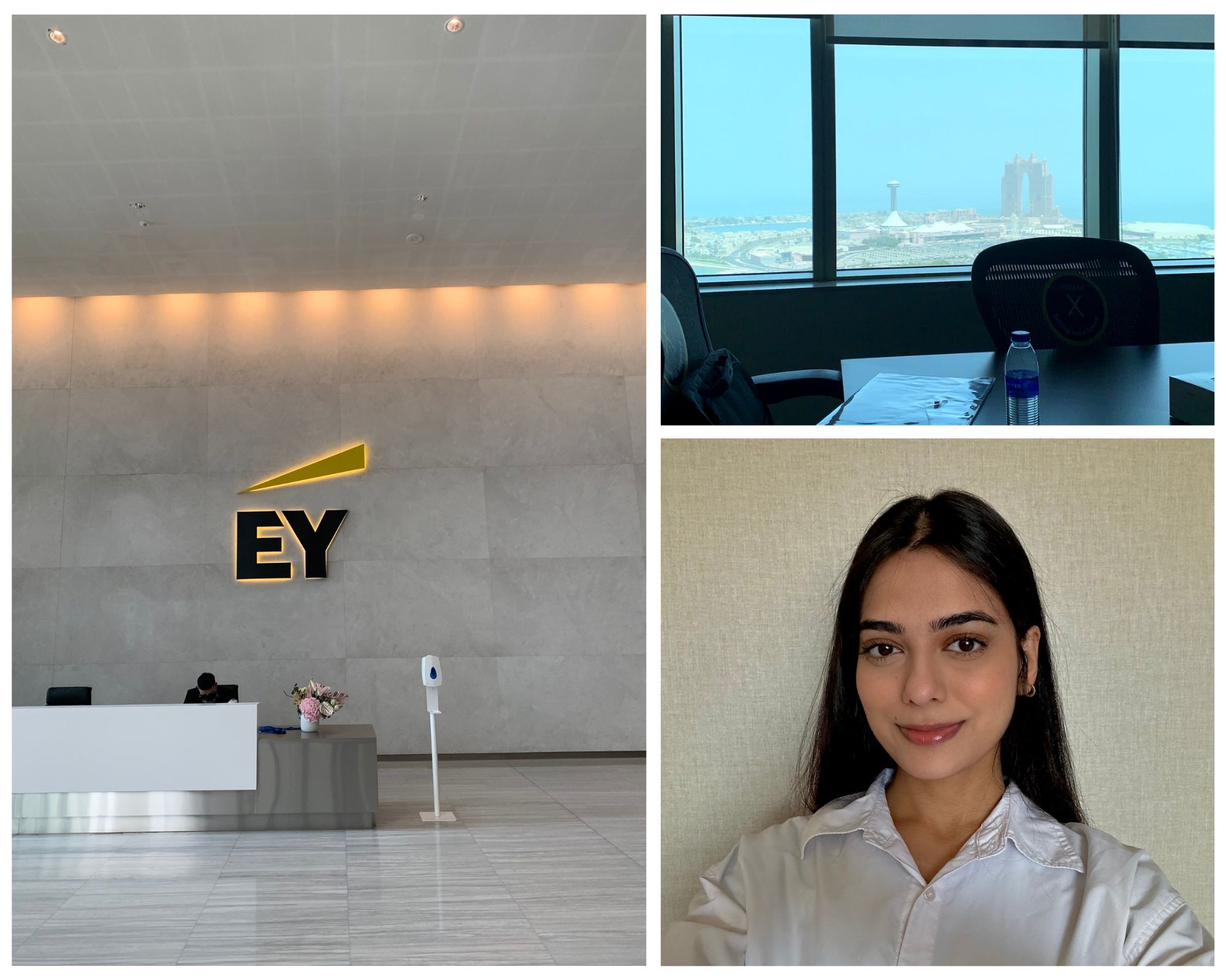 UEP Sustainability Internship Profile: Ayesha Syed – Practical Visionaries
